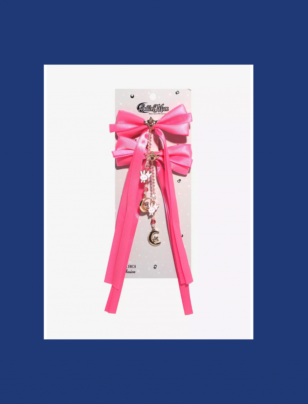 Sailor Moon Cosmos: Character Information